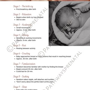 Baby's Instinctive Phases Printable Handout for Pregnant Women, Birth ...