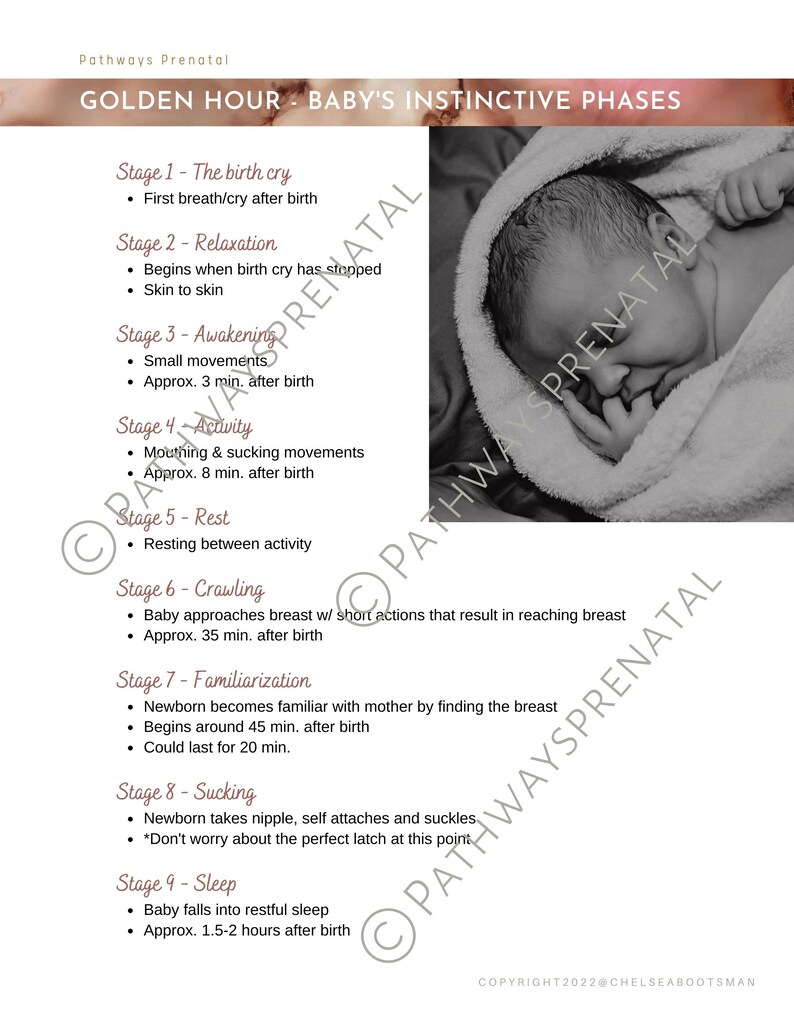 Baby's Instinctive Phases Printable Handout for Pregnant Women, Birth ...
