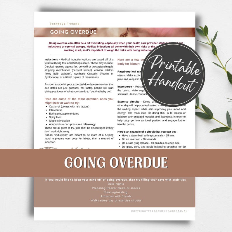 Going Overdue Printable Handout for Pregnant Women, Birth Workers ...