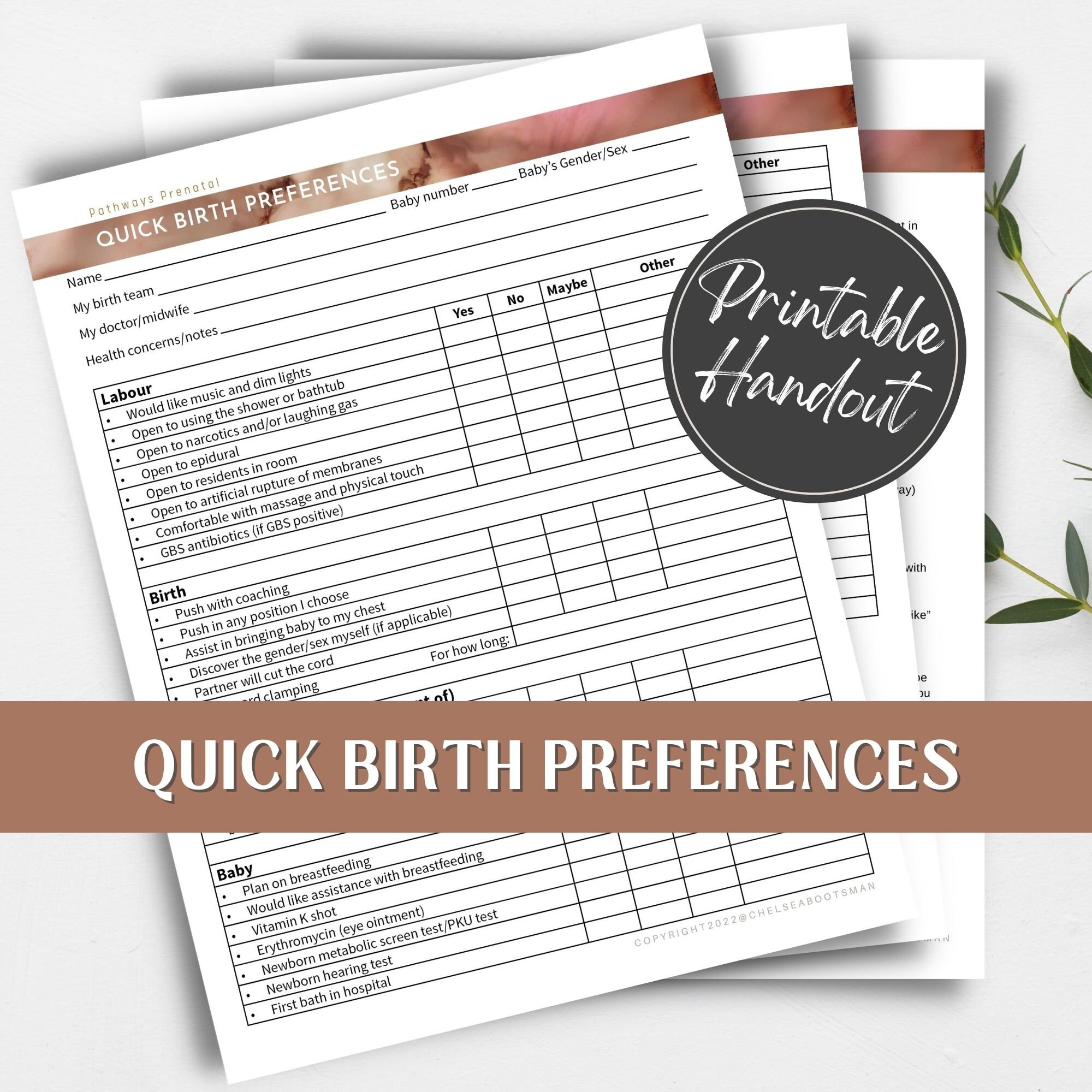 Birth Preferences Printable Handout for Pregnant Women, Birth Workers ...