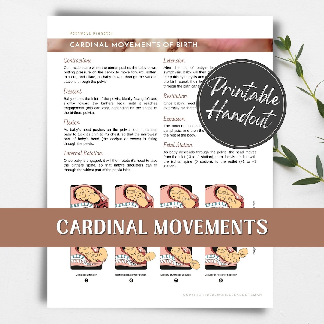 Cardinal Movements of Birth Printable Handout for Pregnant Women, Birth ...