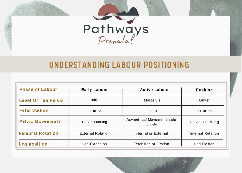 Labor Positions & Comfort Measures Guide for Birthing (PDF) - Etsy