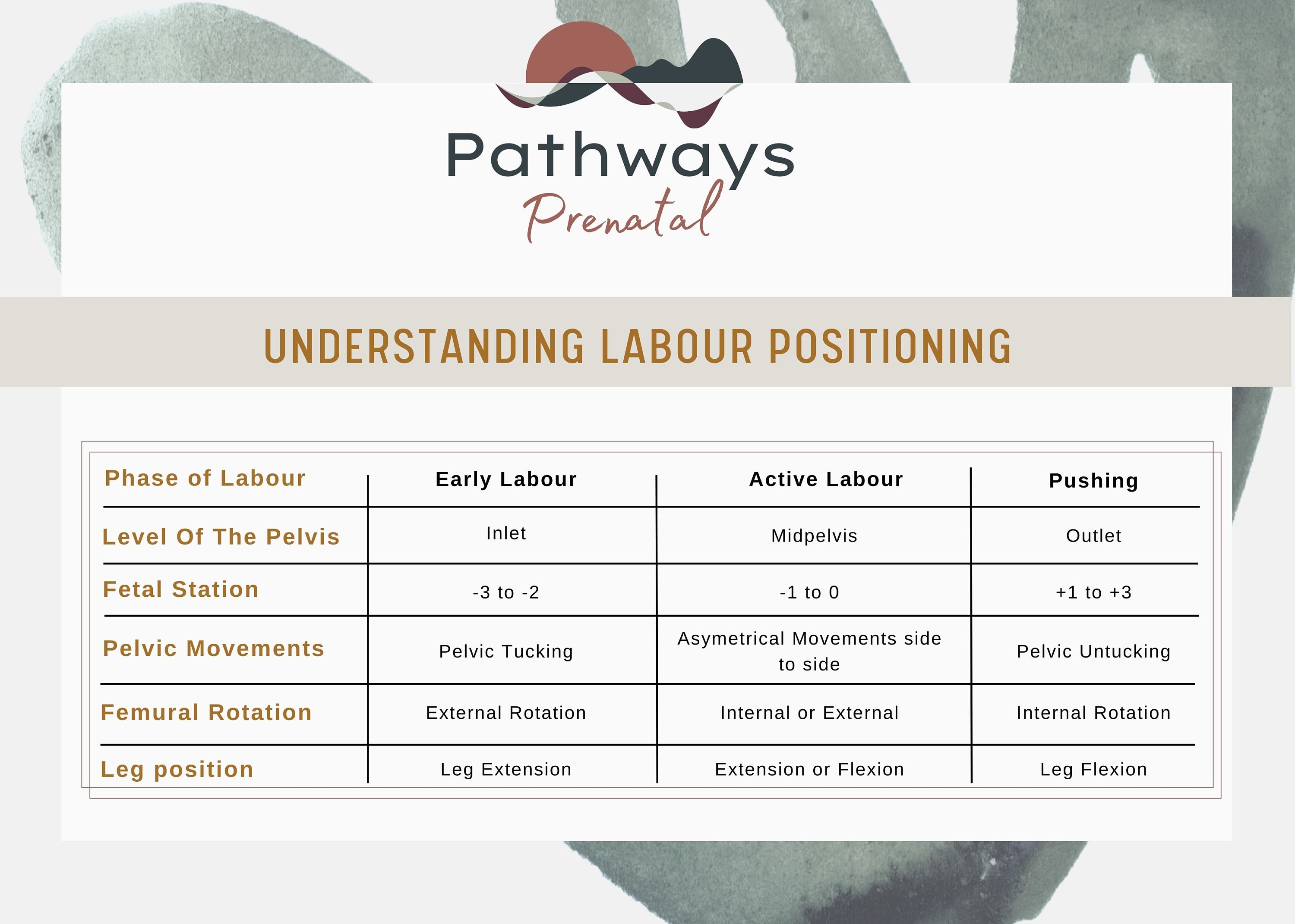 Labour Positions and Comfort Measures Guide. Labor Positions for ...