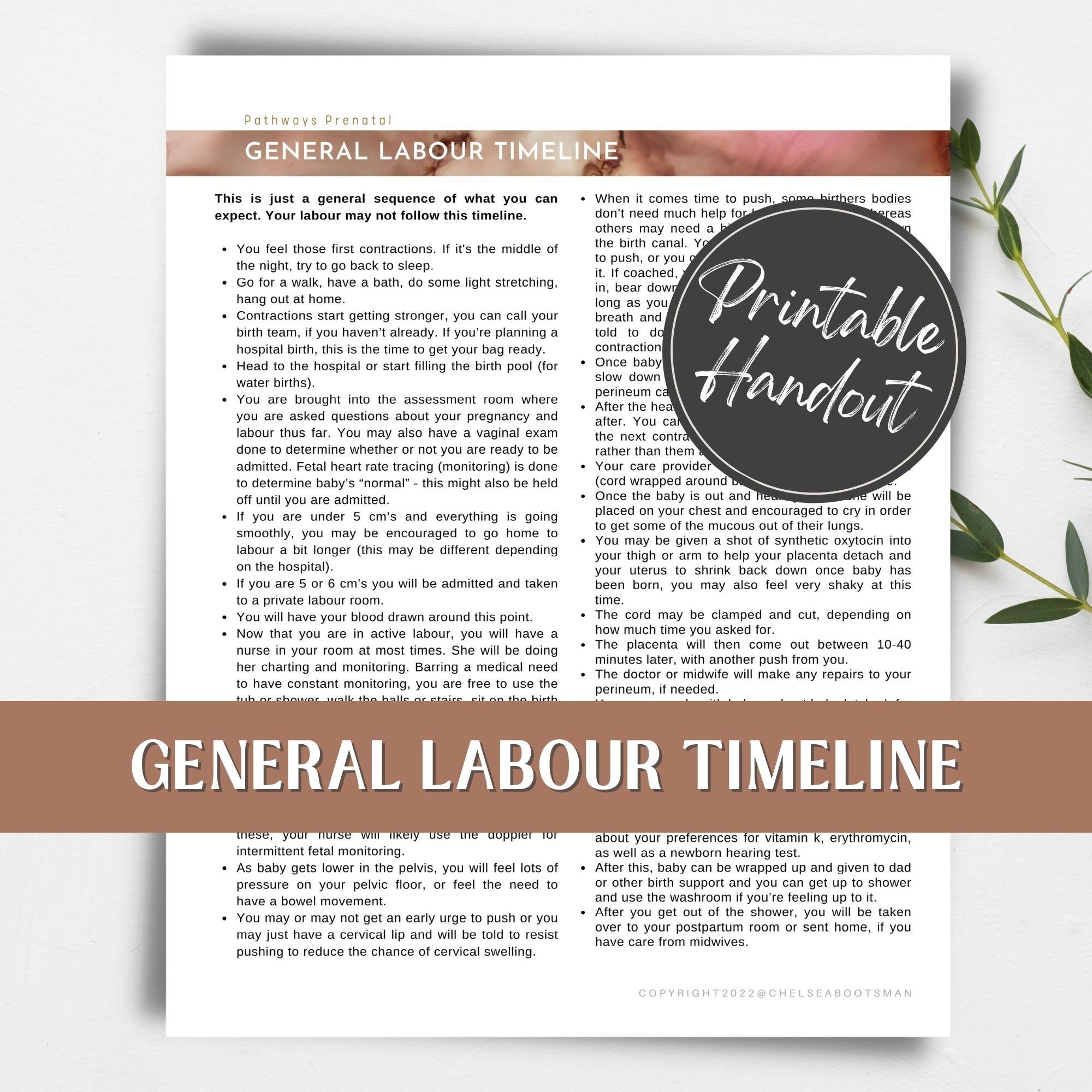 General Labour Timeline Printable Handout for Pregnant Women, Birth ...