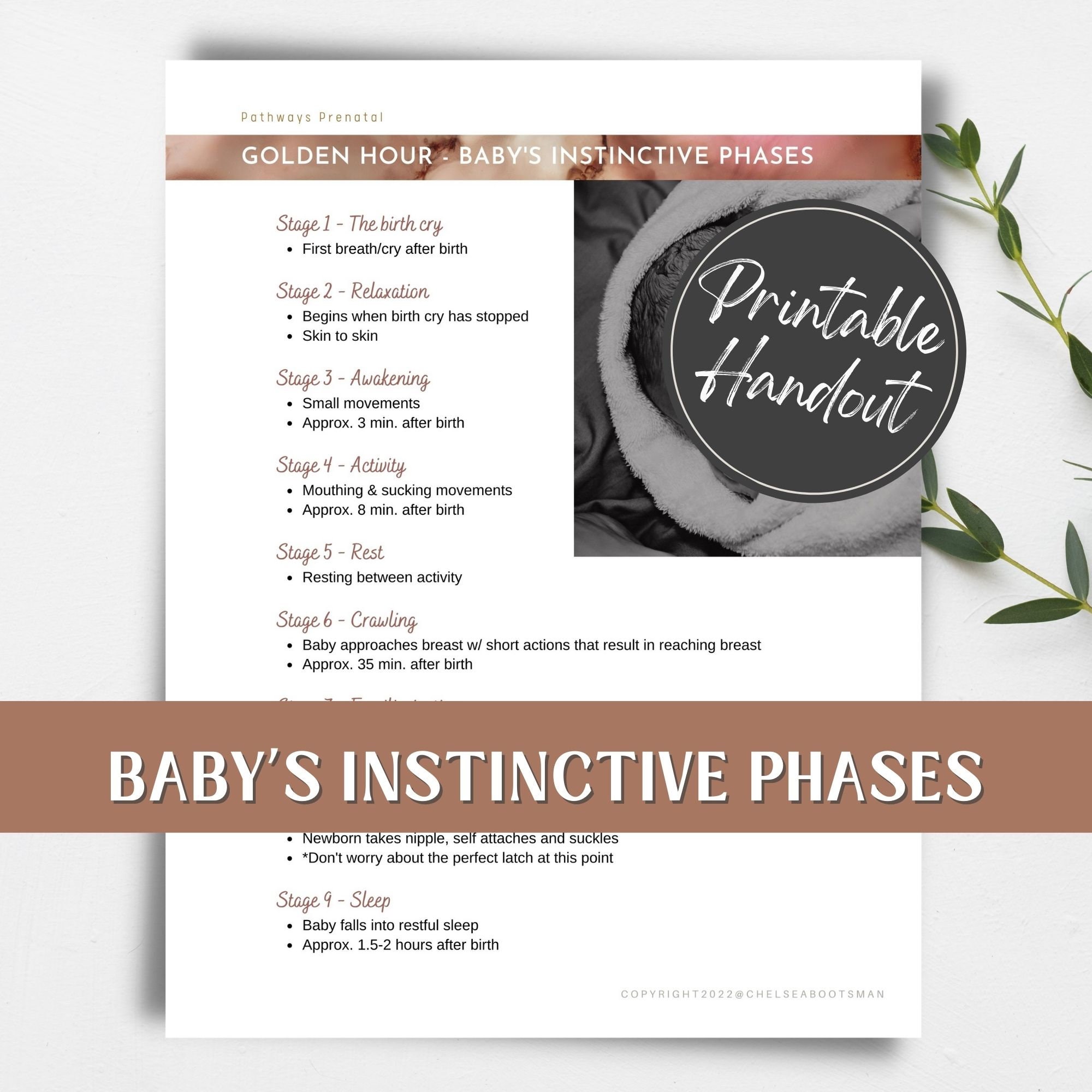 Baby's Instinctive Phases Printable Handout for Pregnant Women, Birth ...