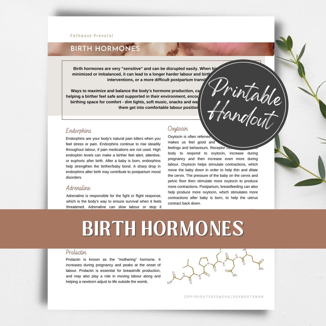Birth Hormones Printable Handout for Pregnant Women, Birth Workers ...