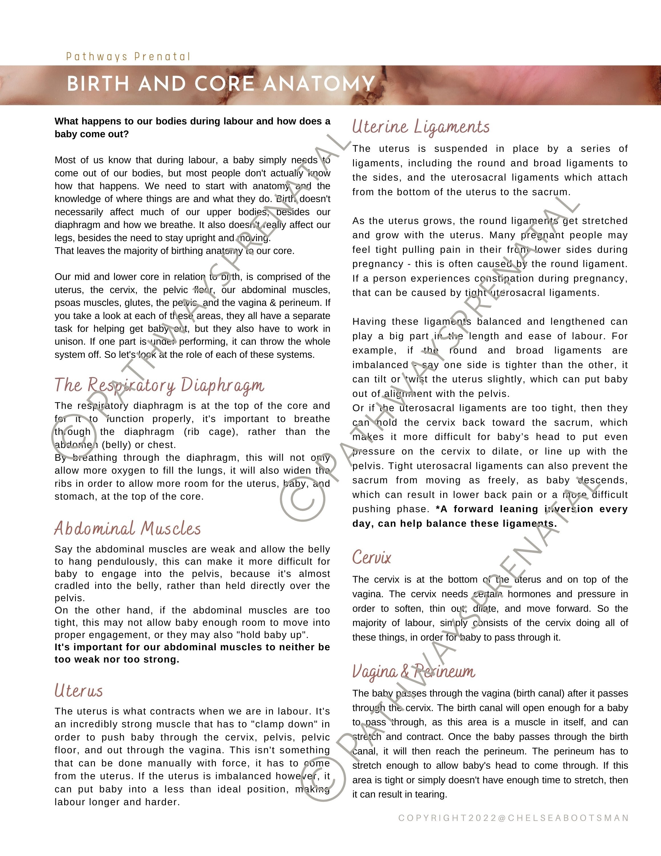 Birth and Core Anatomy Body Prep Printable Handout for Pregnant Women ...