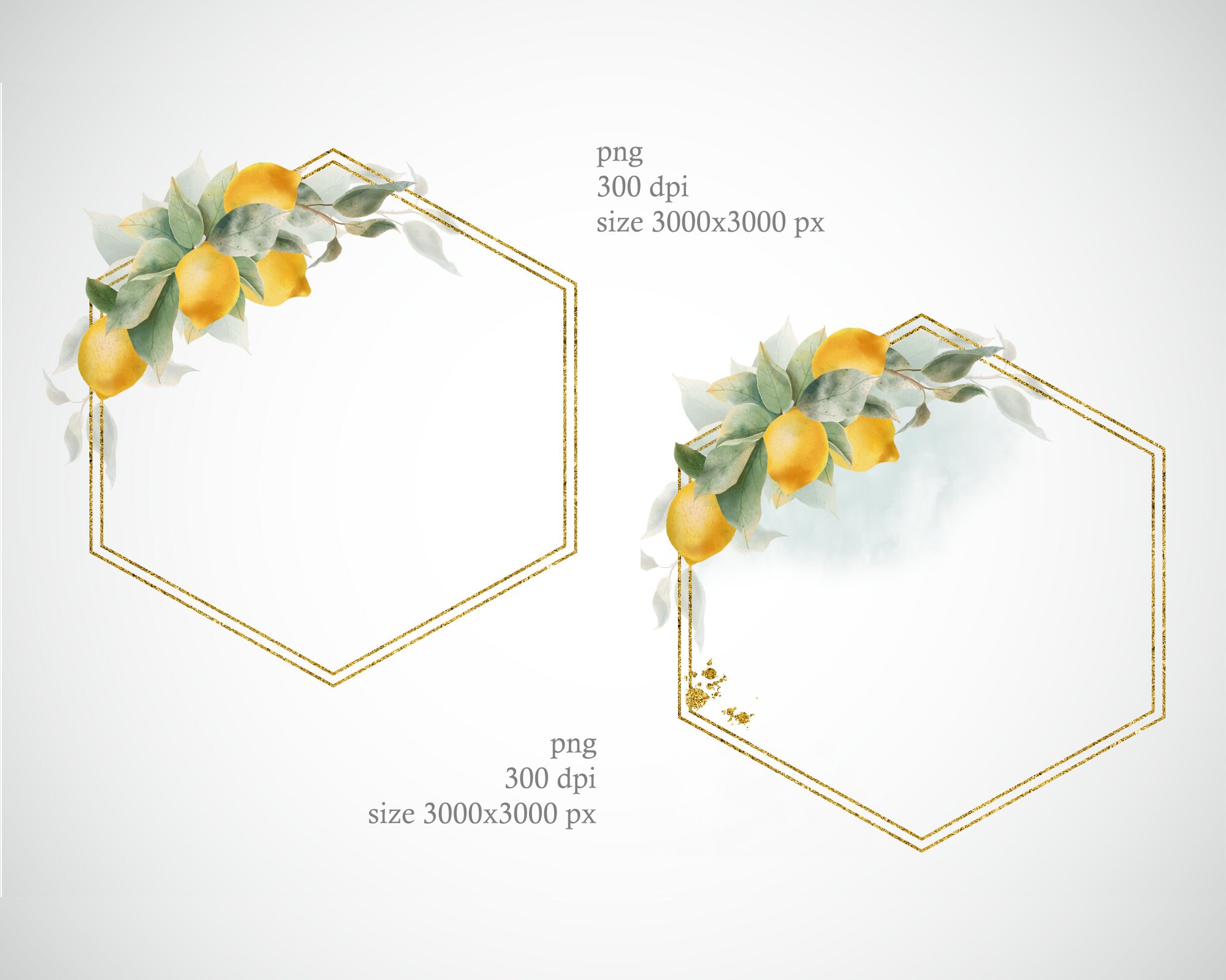 Lemon Frame Clipart, Watercolor Gold Hexagonal Frame Lemons Fruit ...