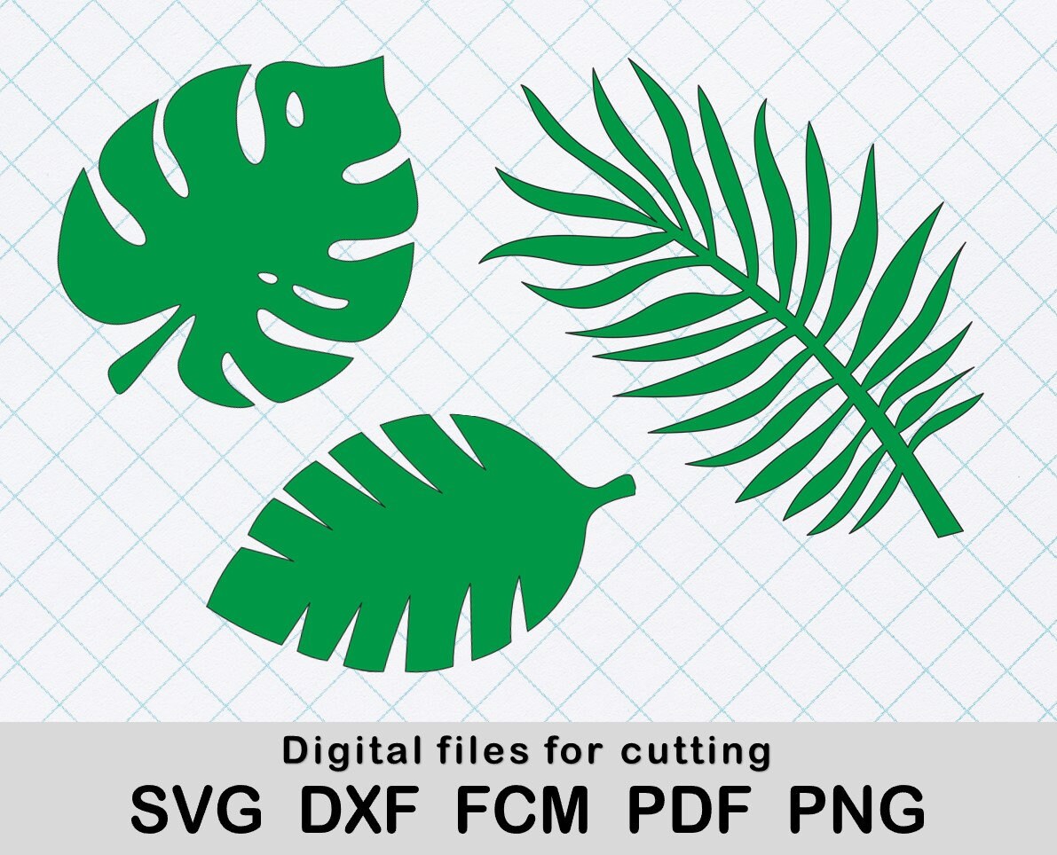 Palm Leaf SVG Tropical leaf svg Monstera svg Tropical | Etsy