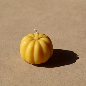 Carnival Squash Beeswax Candle - Pumpkin - Etsy