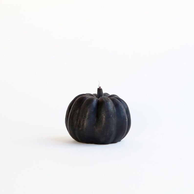 Carnival Squash Beeswax Candle - Pumpkin - Etsy
