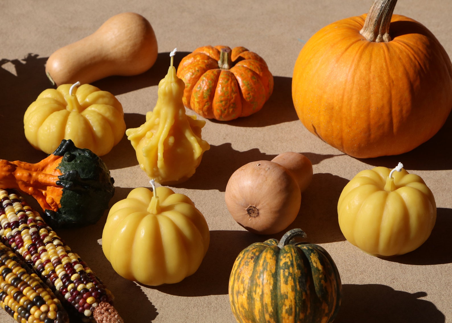 Carnival Squash Beeswax Candle - Pumpkin - Etsy