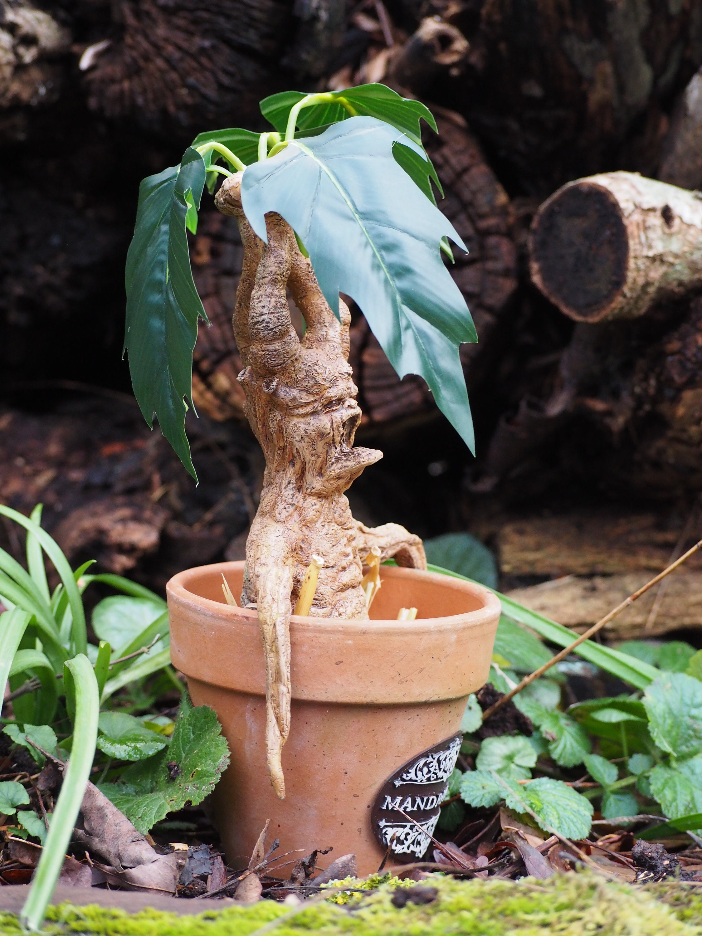 Mandrake – Mandragore Faite à La Main | Sculpture Mandragore, Figurine ...
