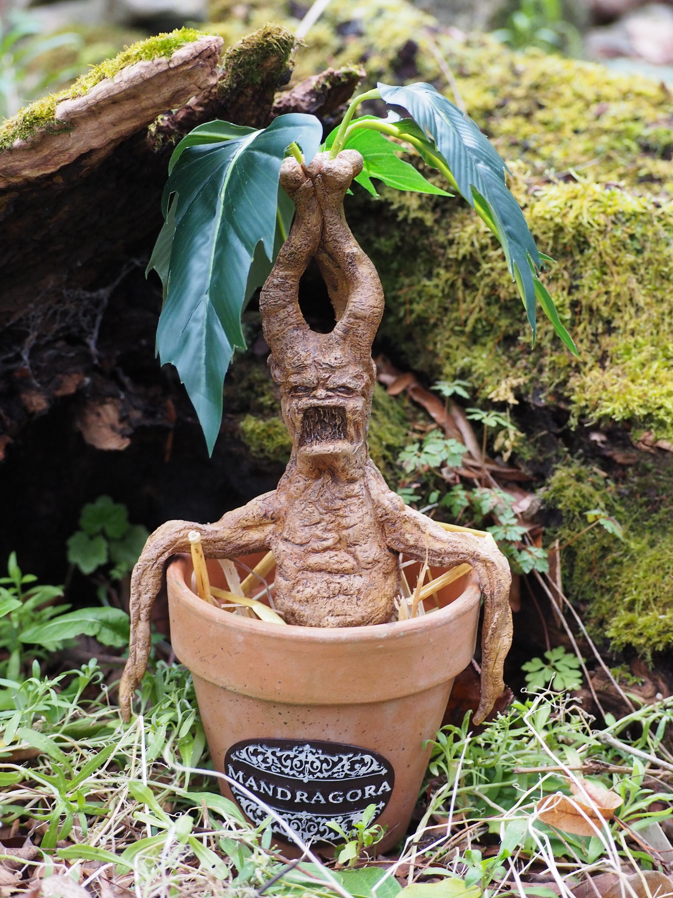 Mandrake – Mandragore Faite à La Main | Sculpture Mandragore, Figurine ...