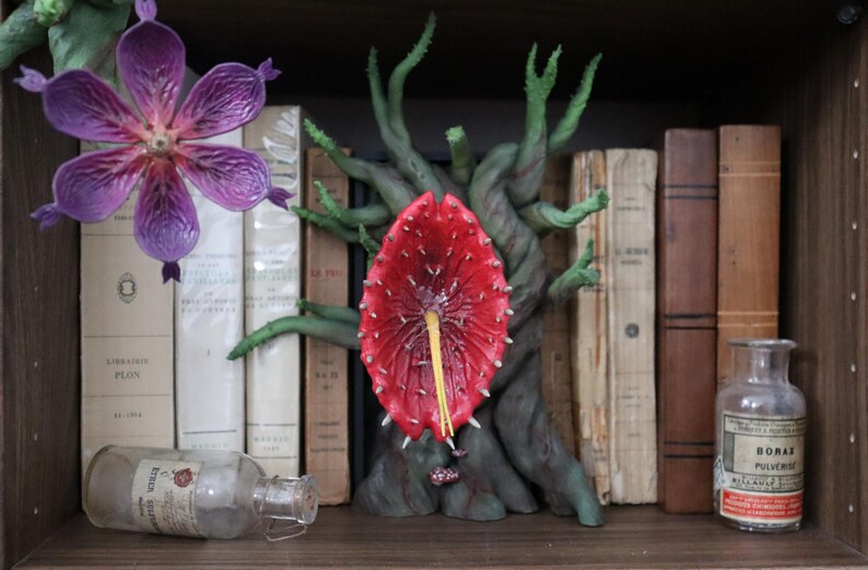 Carnivorous Plant Book Nook: Handmade Fantasy Shelf Insert - Etsy