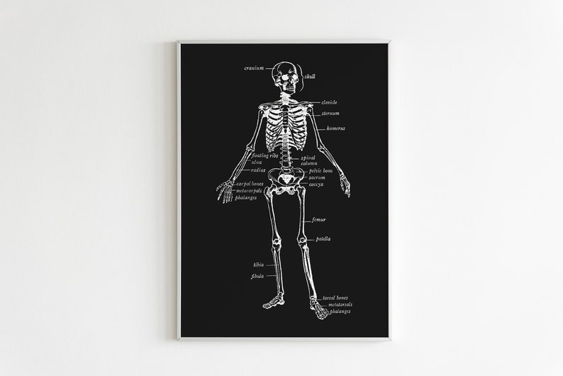 Retro Halloween Skeleton Diagram Print: Spooky Wall Art (digital ...