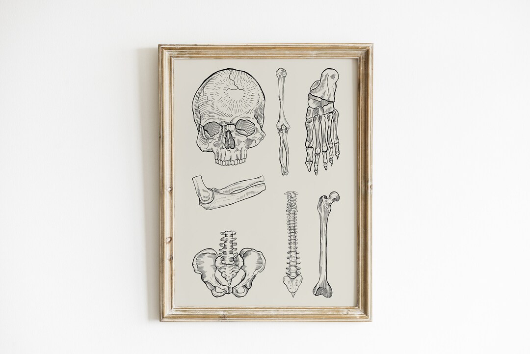 Halloween Decor | Skull and Bones | Halloween Printable Wall Art ...