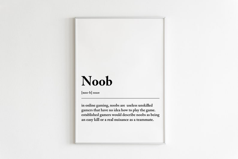 Noob Definition Print Gaming Print Gaming Wall Art Game - Etsy