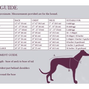 Whippet / Italian Greyhound Water-resistant Puffa Suit - DEEP WINE - Etsy