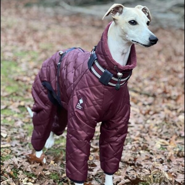 Greyhound Coats - Etsy UK