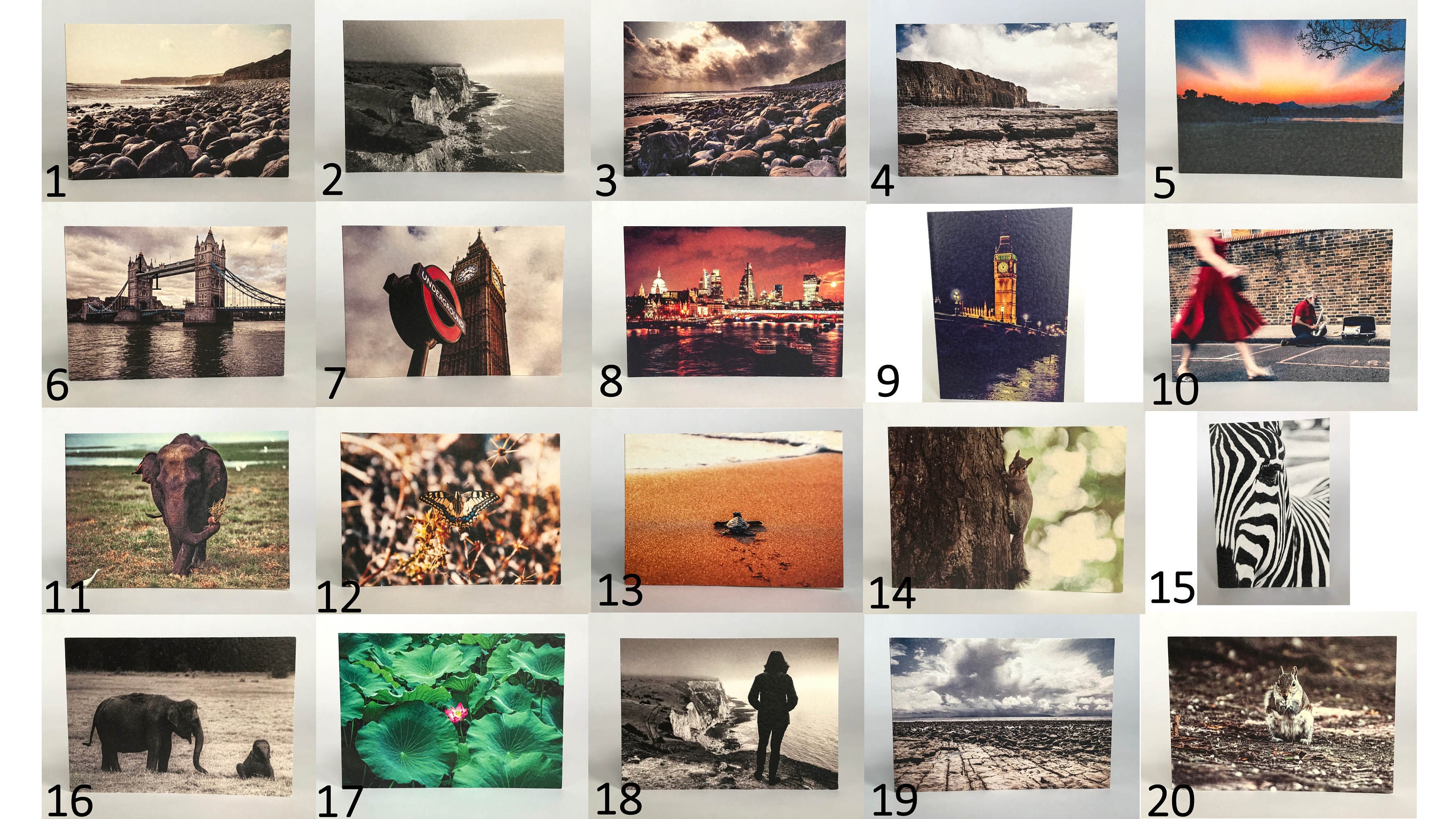 Photography Collection of 5 Blank Greeting Cards - Etsy