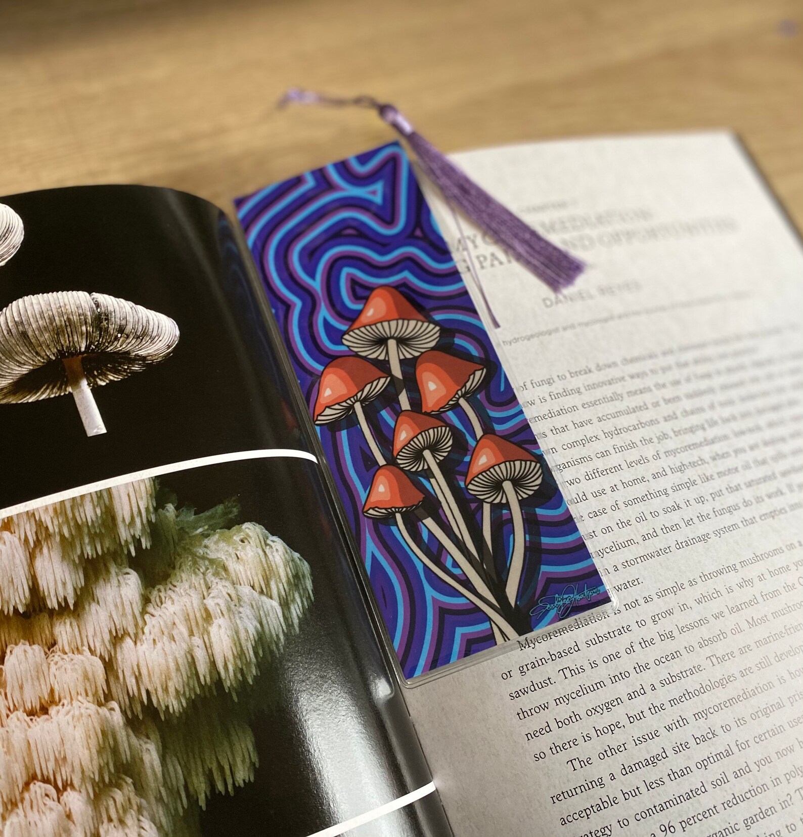Trippy Mushroom Bookmark - Etsy