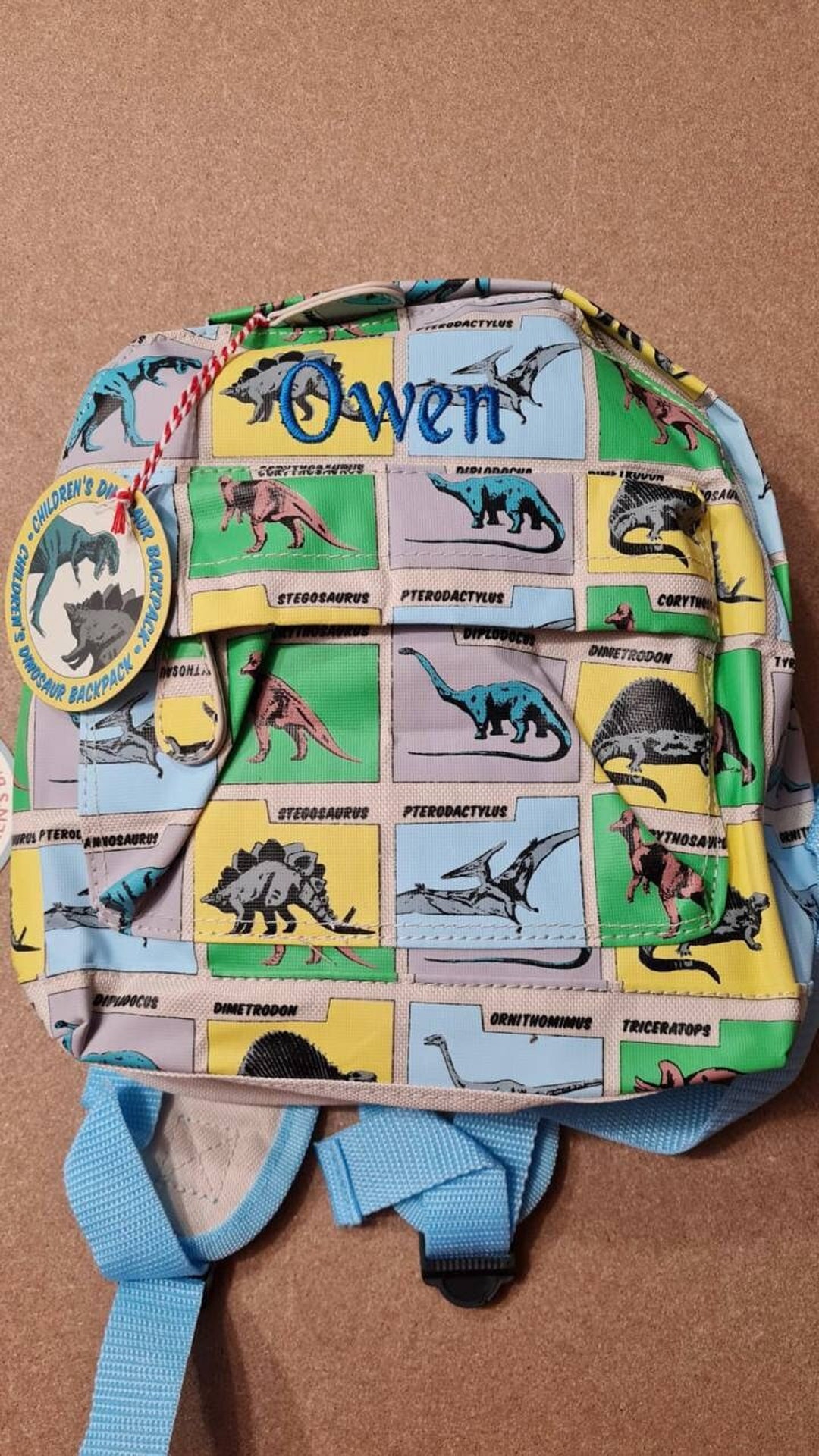 Dino Personalised Embroidered Backpack Kid Dinosaur T-rex Baby Toddler ...