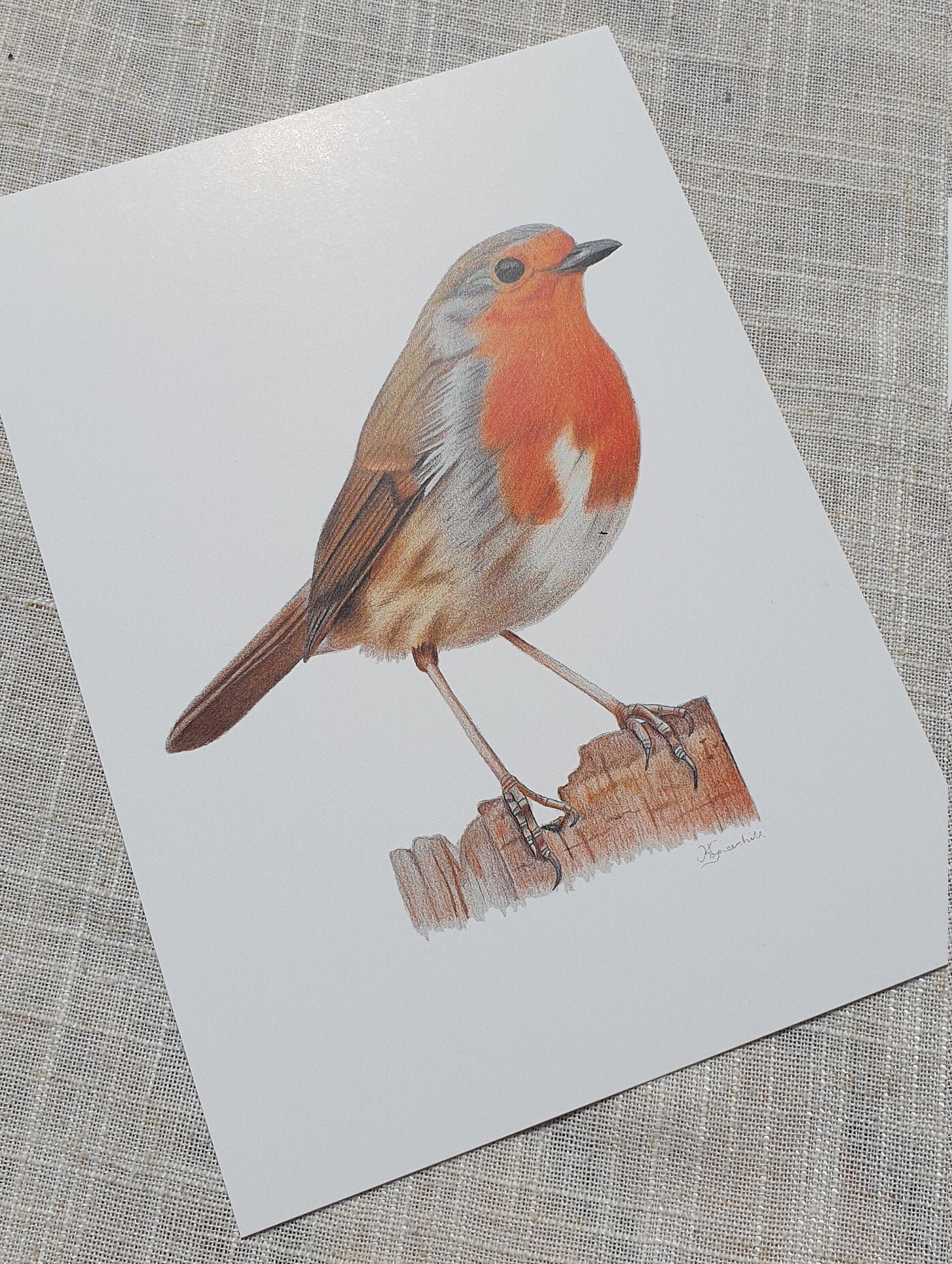 Robin Bird Coloured Pencil Drawing Print 6x4 7x5 8x6 - Etsy.de