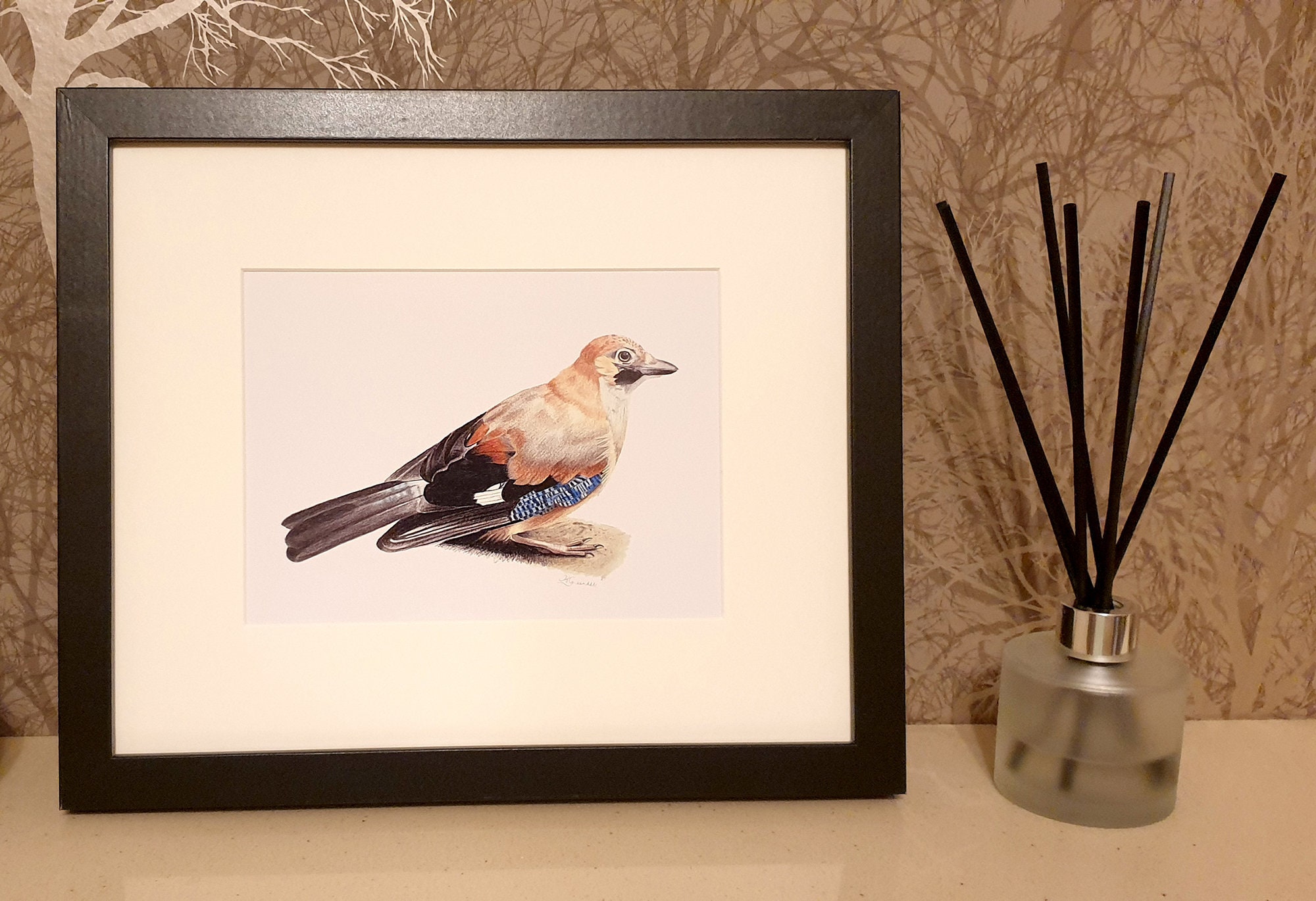Jay Bird Pencil Drawing Print 6x4 7x5 8x6 - Etsy UK