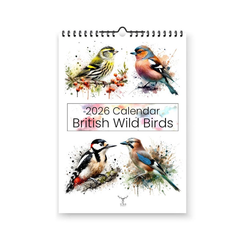 Funny Birds 2026 Calendar - Etsy UK