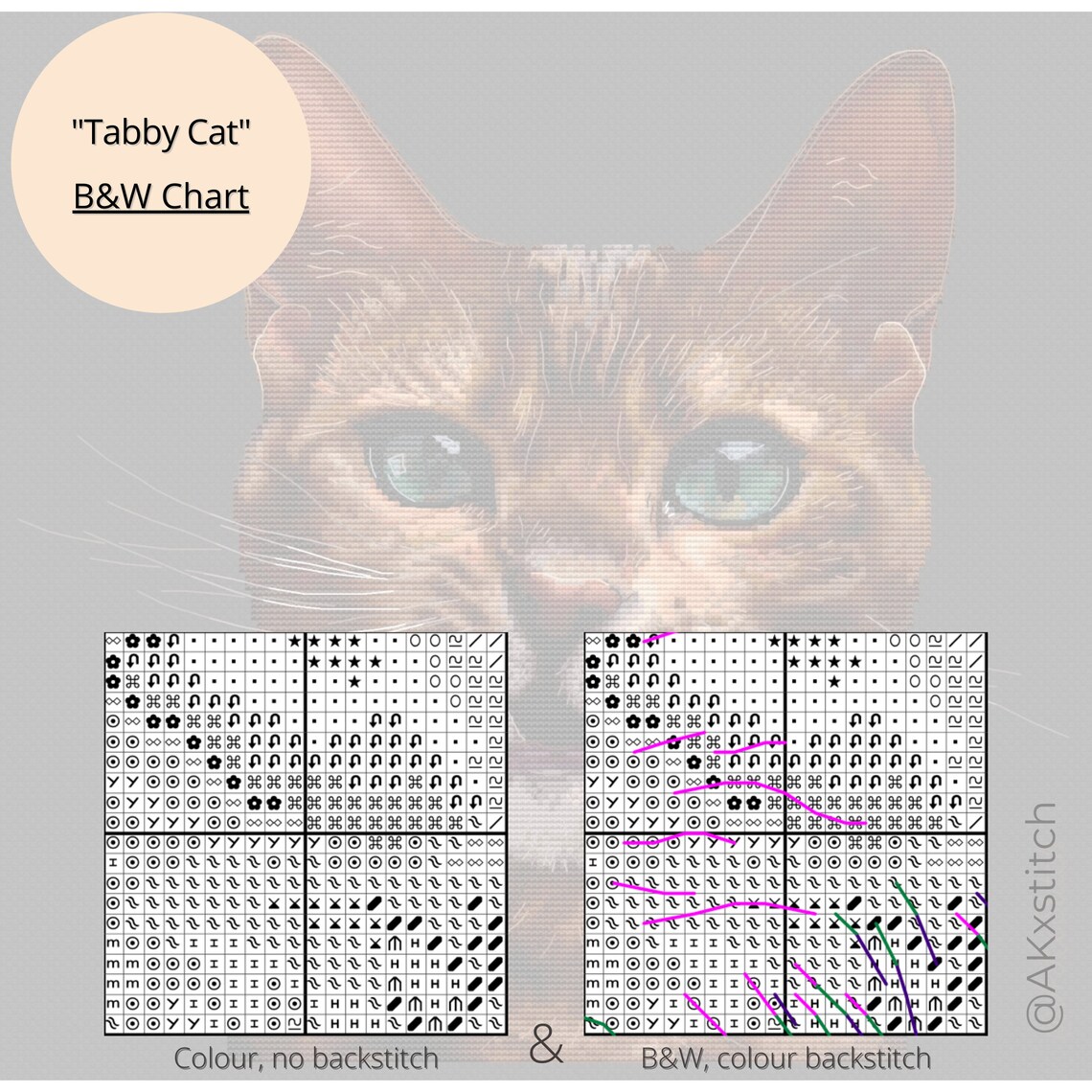 Tabby Cat Cross Stitch Pattern PDF / Cheeky Bandit Realistic - Etsy