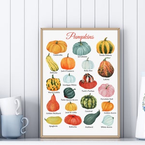 Fall Pumpkins Montessori Poster, Thanksgiving, Educational Poster ...