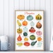 Fall Pumpkins Montessori Poster Thanksgiving Educational - Etsy