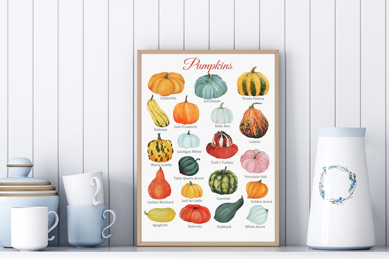 Fall Pumpkins Montessori Poster Thanksgiving Educational - Etsy