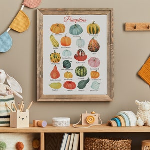 Fall Pumpkins Montessori Poster, Thanksgiving, Educational Poster ...
