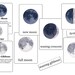 Moon Phases Worksheets, Homeschool Learning Pack Lunar Cycle ...
