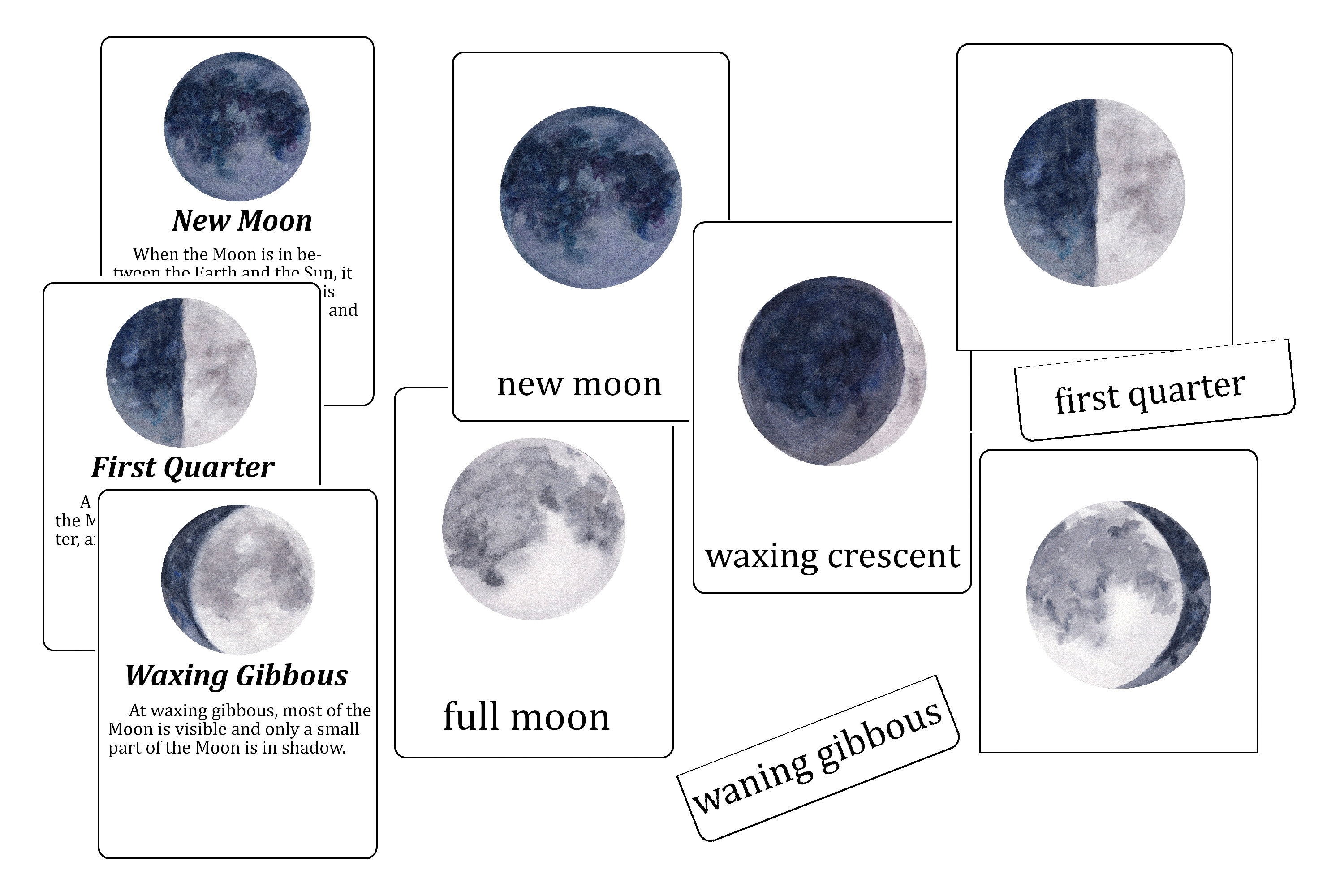 Moon Phases Worksheets, Homeschool Learning Pack Lunar Cycle ...