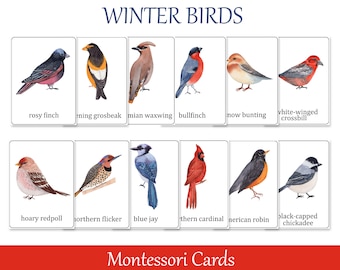 Nativity Montessori Poster Educational Poster Christmas - Etsy