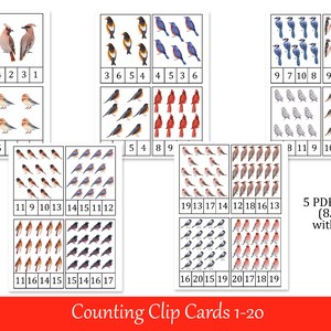 Winter Birds Count and Clip Cards, Number 1 - 20, Flashcards, Christmas ...