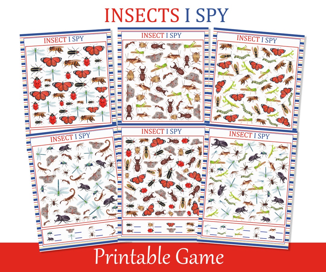I Spy Insects, Bugs and Beetles Summer Printable Game for Kids ...