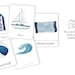 Summer Beach Flash Cards. Montessori 3 Part Cards. Nomenclature Cards ...