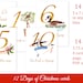 12 Days of Christmas Printable Cards, Nomenclature Cards, Printable ...