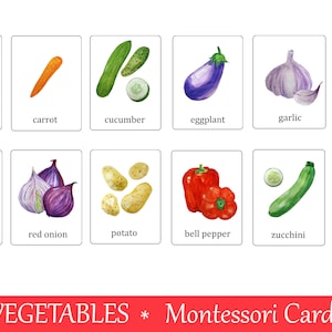 Vegetables Watercolor Flash Cards. Montessori Three Part Cards ...