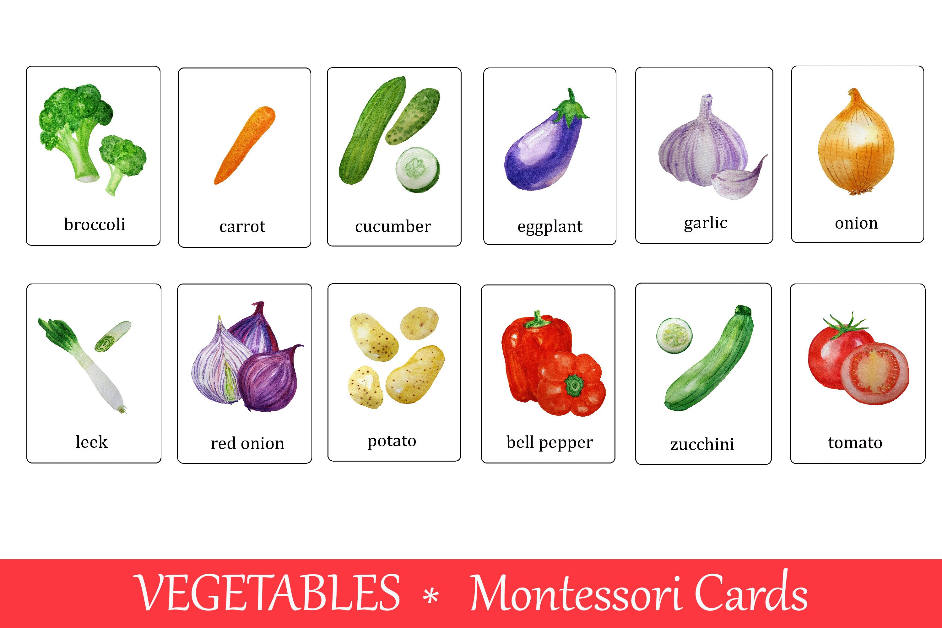 Vegetables Watercolor Flash Cards. Montessori Three Part Cards ...