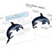 Orca Killer Whale Anatomy Poster, Homeschool Marine Biology Learning ...
