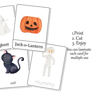 Halloween Preschool Flash Cards. Montessori 3 Part Cards. Nomenclature ...