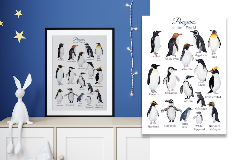 Penguins Species Montessori Poster, Educational Poster, Types of ...