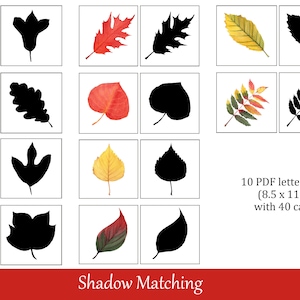 Autumn Leaves Shadow Matching Cards, Toddler Montessori Printable - Etsy