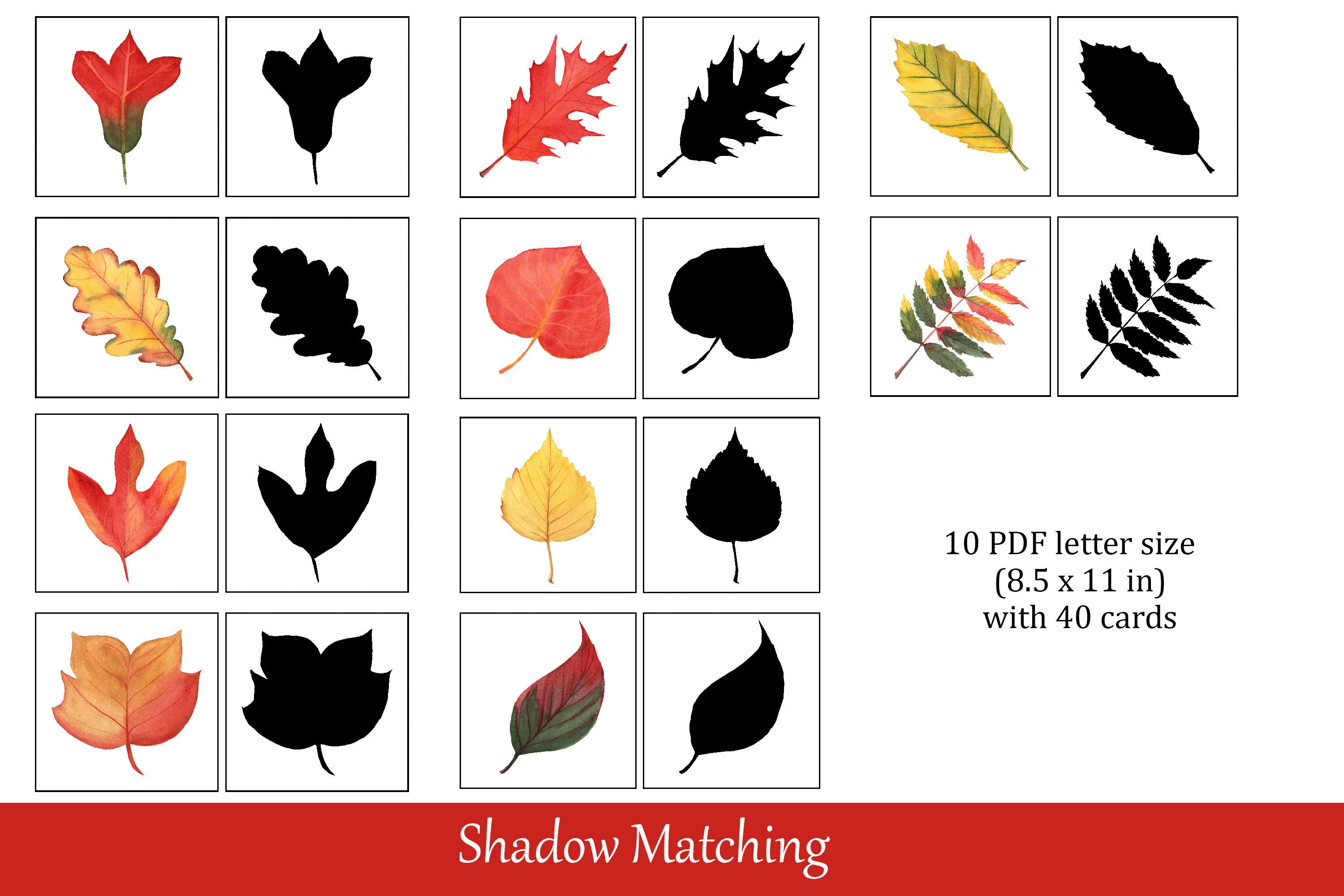 Autumn Leaves Shadow Matching Cards, Toddler Montessori Printable - Etsy