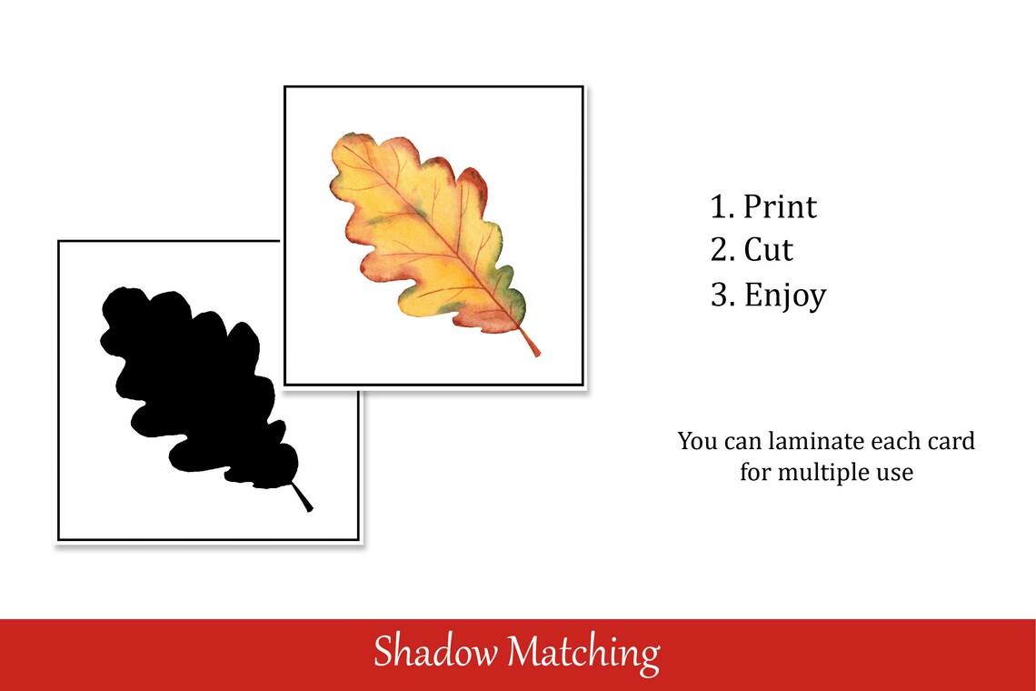 Autumn Leaves Shadow Matching Cards, Toddler Montessori Printable - Etsy